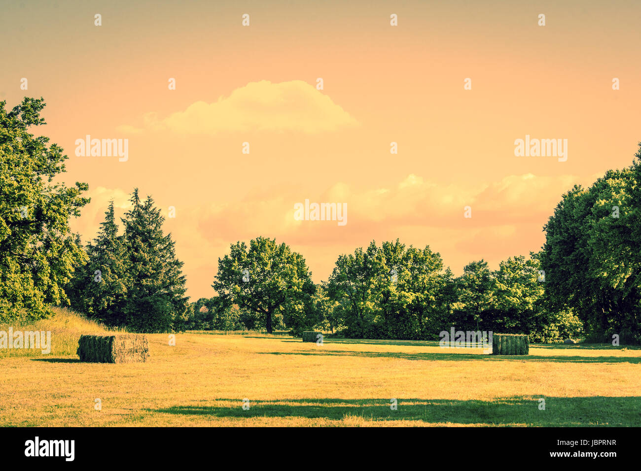 High resolution photo in best quality Stock Photo - Alamy