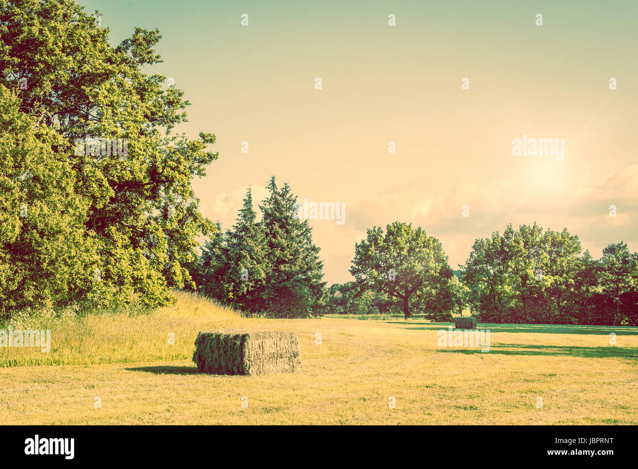 High resolution photo in best quality Stock Photo - Alamy