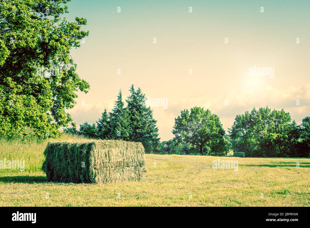 High resolution photo in best quality Stock Photo - Alamy