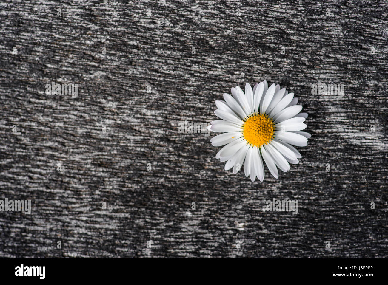 High resolution photo in best quality Stock Photo - Alamy