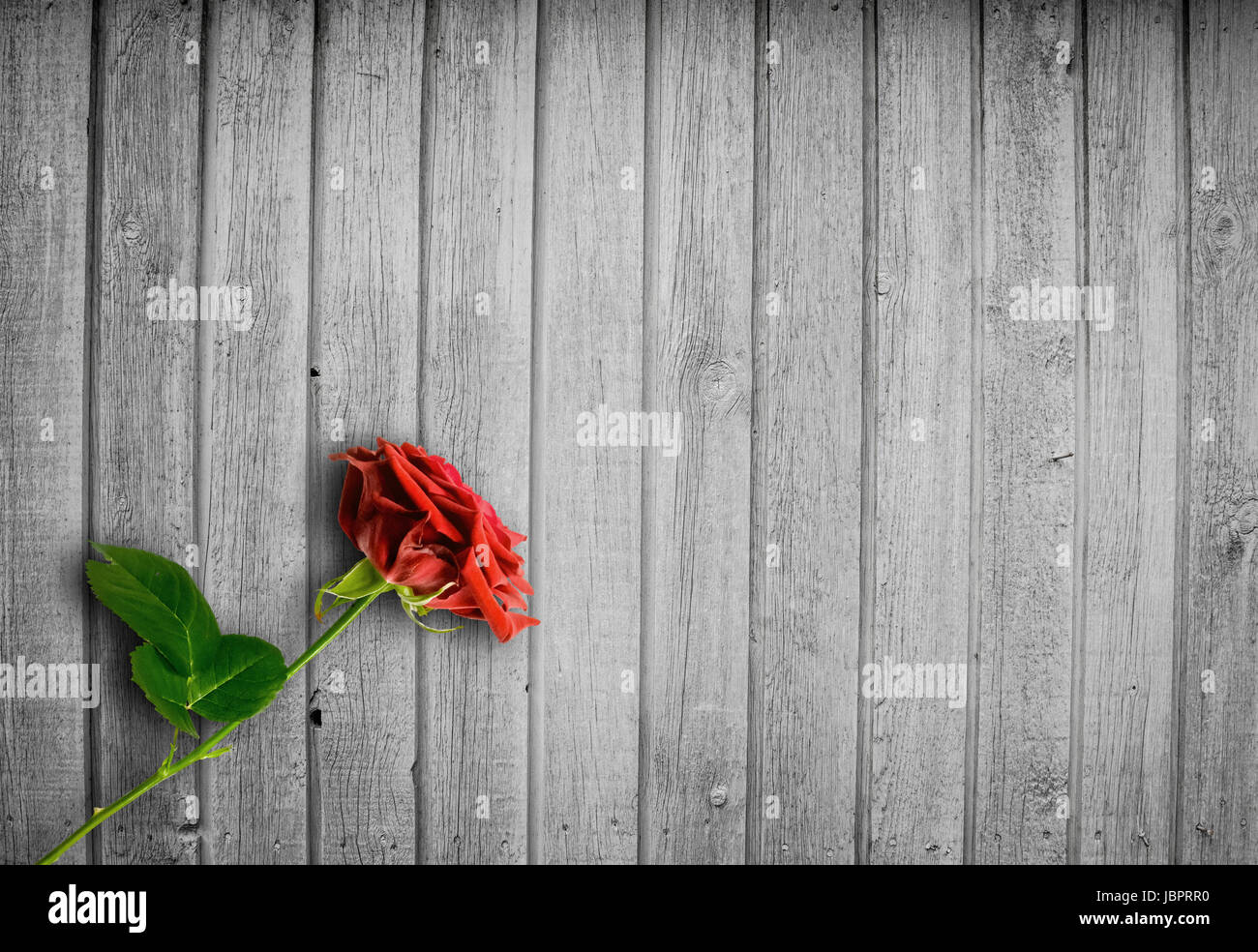 High resolution photo in best quality Stock Photo - Alamy