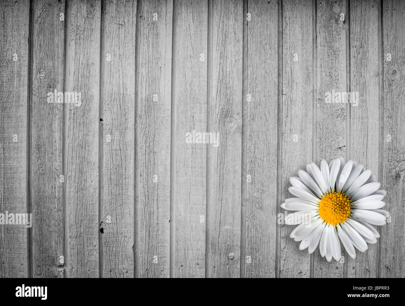 High resolution photo in best quality Stock Photo - Alamy