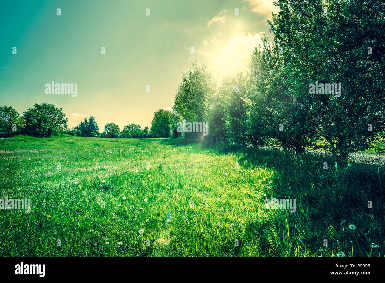 High resolution photo in best quality Stock Photo - Alamy