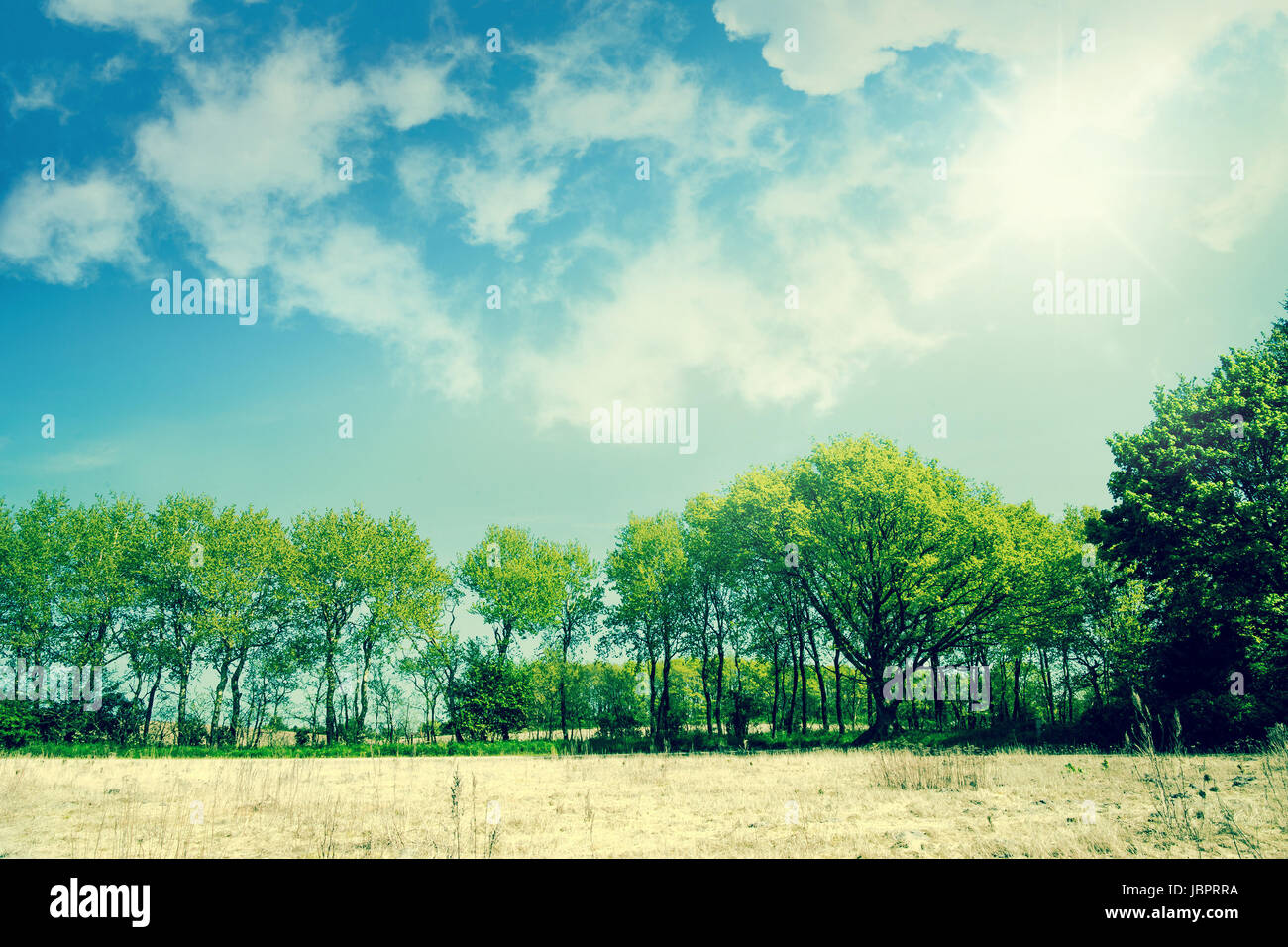 High resolution photo in best quality Stock Photo - Alamy