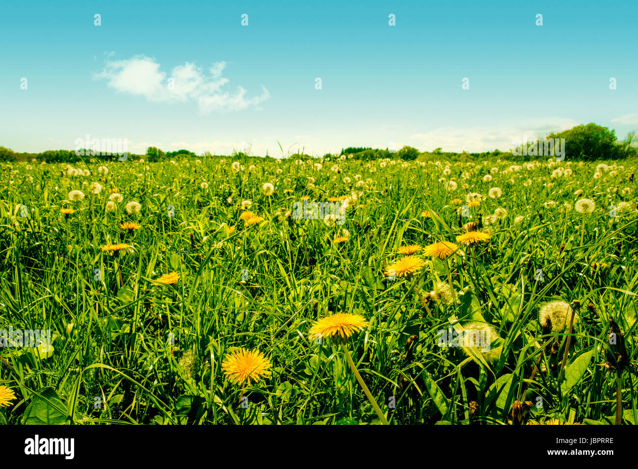 High resolution photo in best quality Stock Photo - Alamy