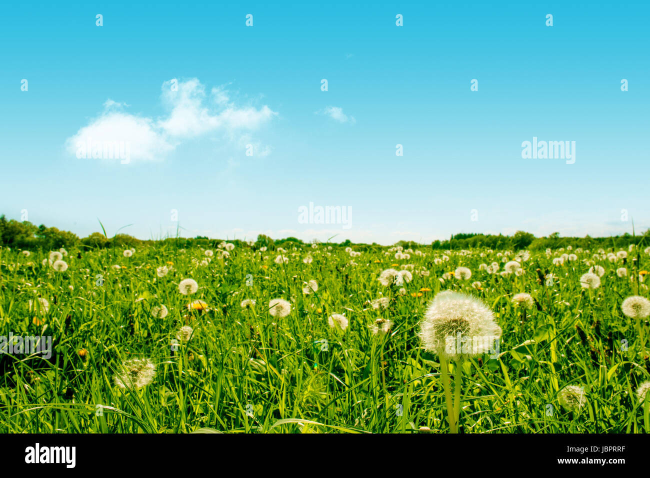 High resolution photo in best quality Stock Photo - Alamy