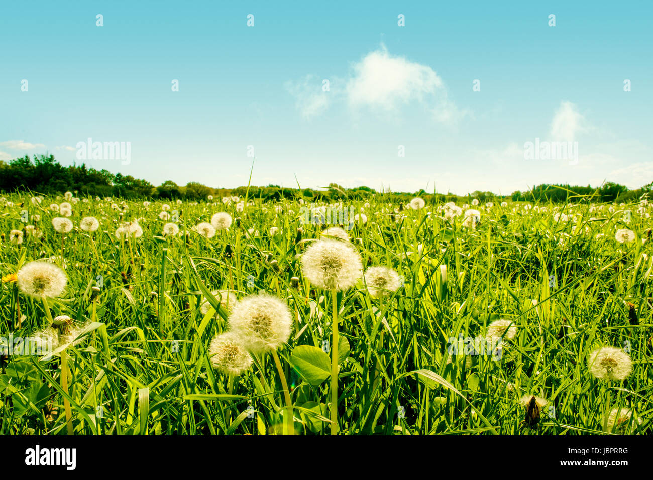 High resolution photo in best quality Stock Photo - Alamy