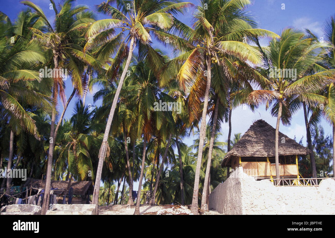 Michamvi beach hi-res stock photography and images - Alamy