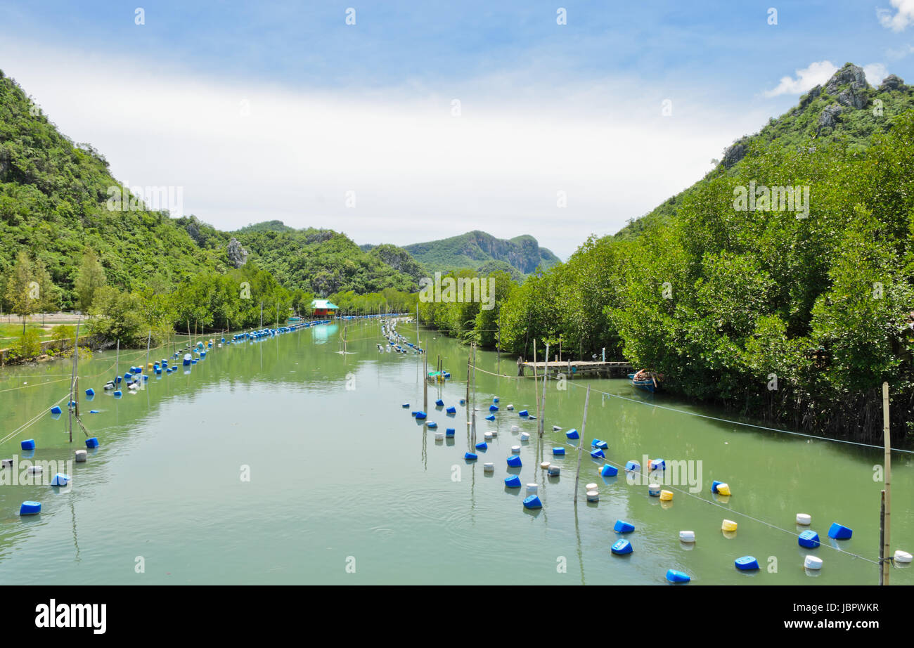 Lawn shrimp hi-res stock photography and images - Alamy