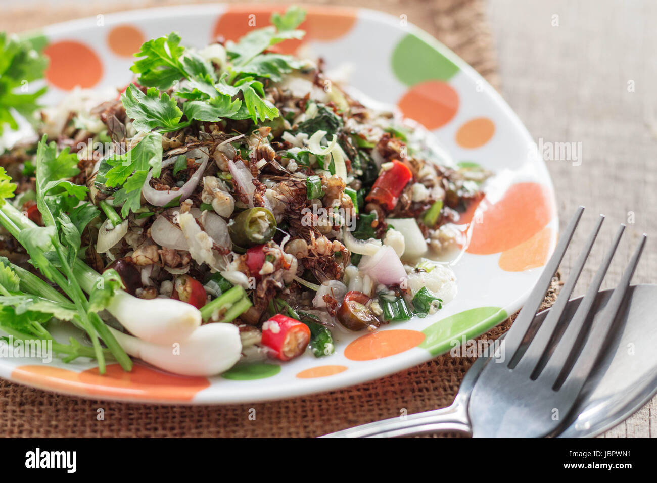 Red ants dish hi-res stock photography and images - Alamy