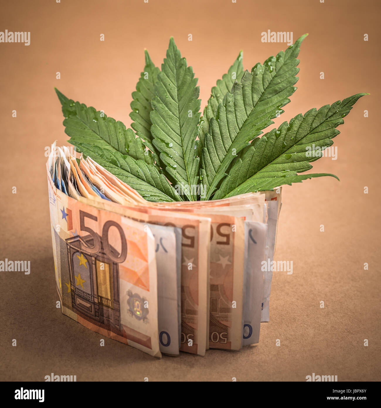 Marijuana business concept. Cannabis leaves and Euro banknotes Stock ...