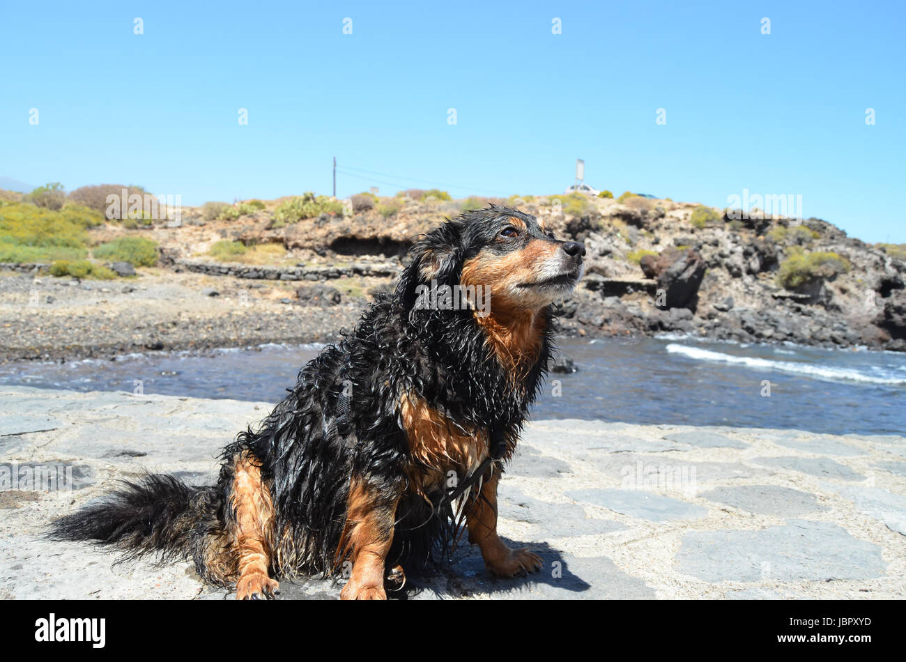 Agitating water hi-res stock photography and images - Alamy