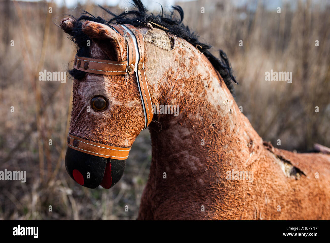 Close-up of the old threadbare rocking horse thrown away to the dump in ...