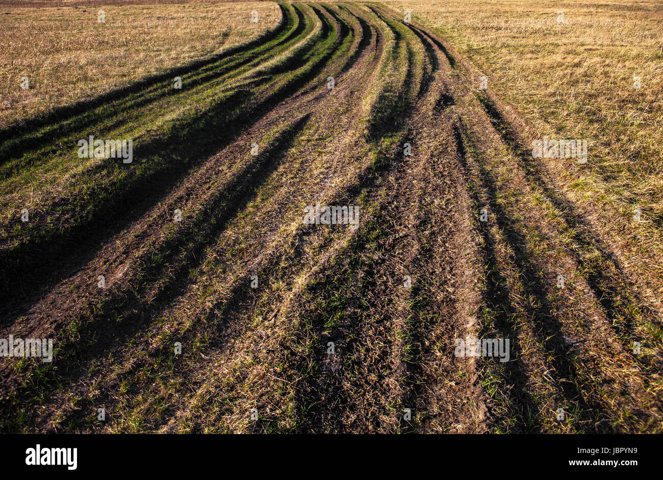 Countryside road overgrown with grass. Lots of wheel ruts Stock Photo ...