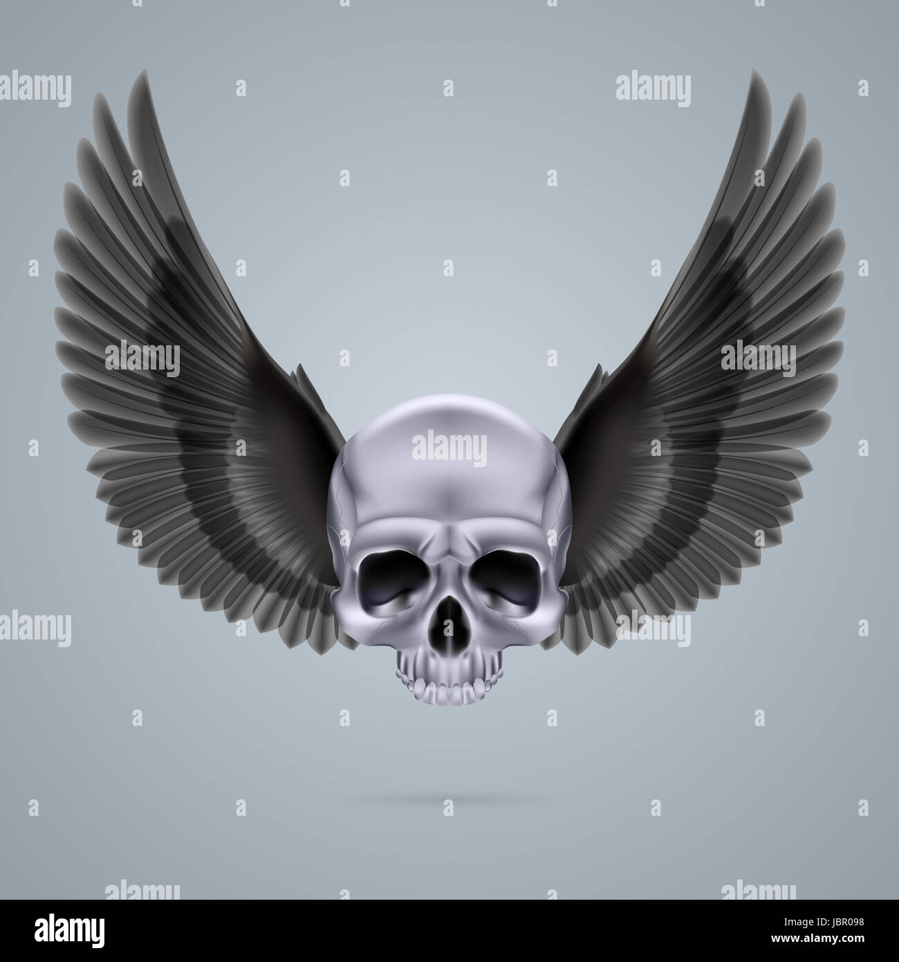 Raised head crest feathers hi-res stock photography and images - Alamy