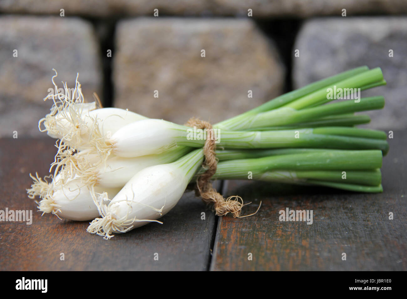 Onion underground hi-res stock photography and images - Alamy