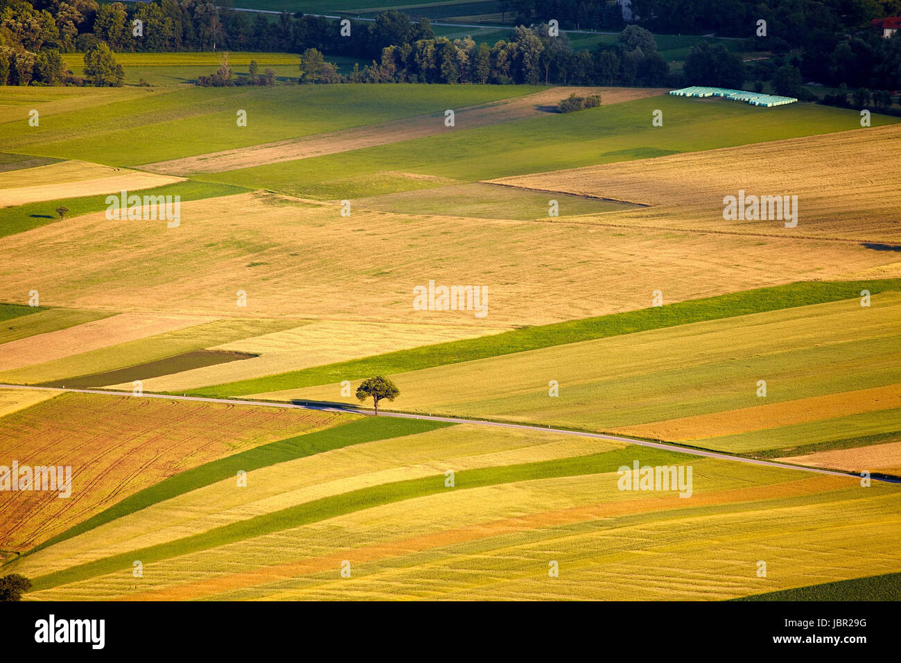 Aerial view of agricultural fields Stock Photo - Alamy