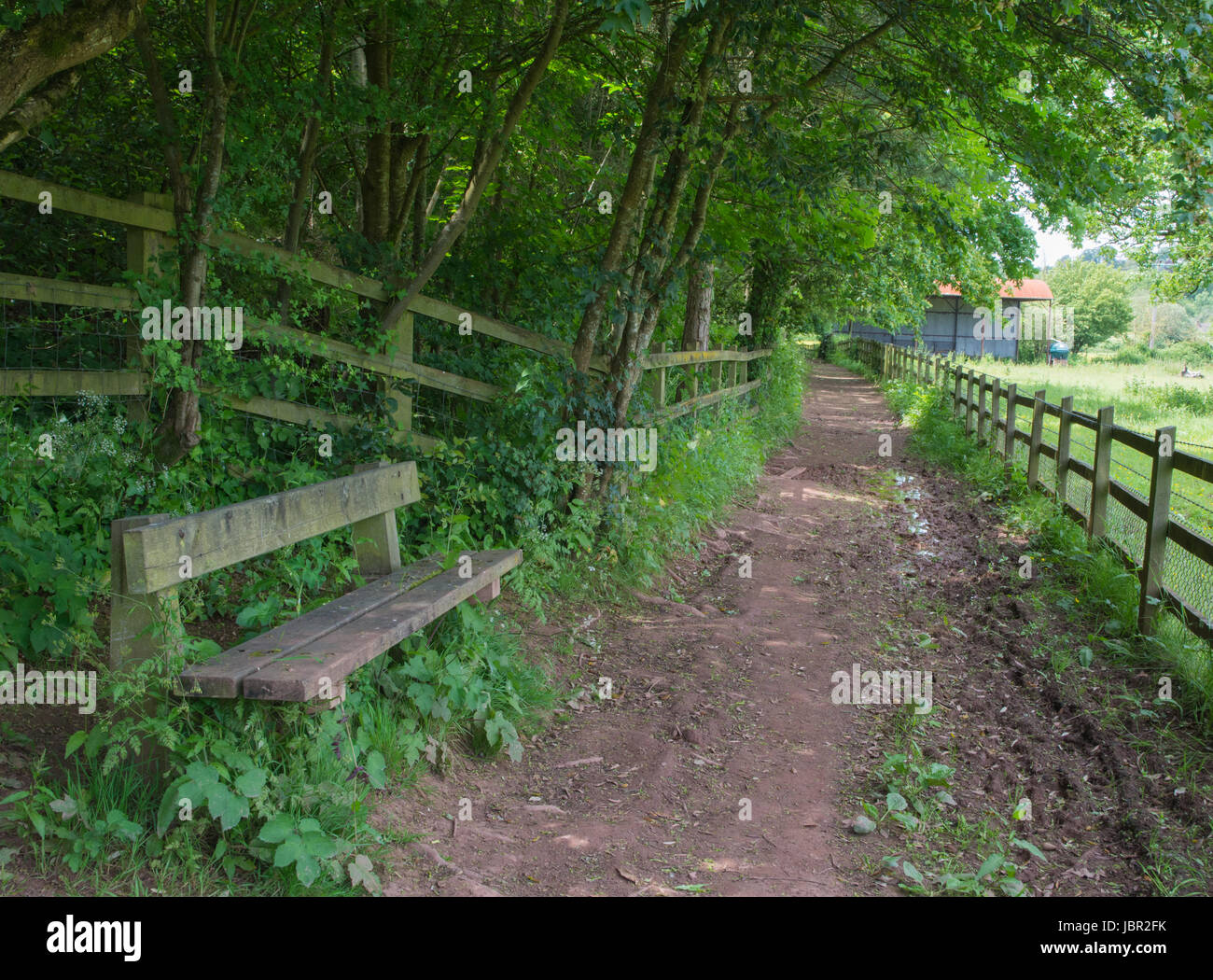 A bench beside a footpath is slowly being hidden by weeds Stock Photo ...