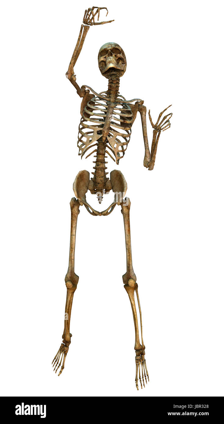 3D digital render of an old human skeleton isolated on white background ...