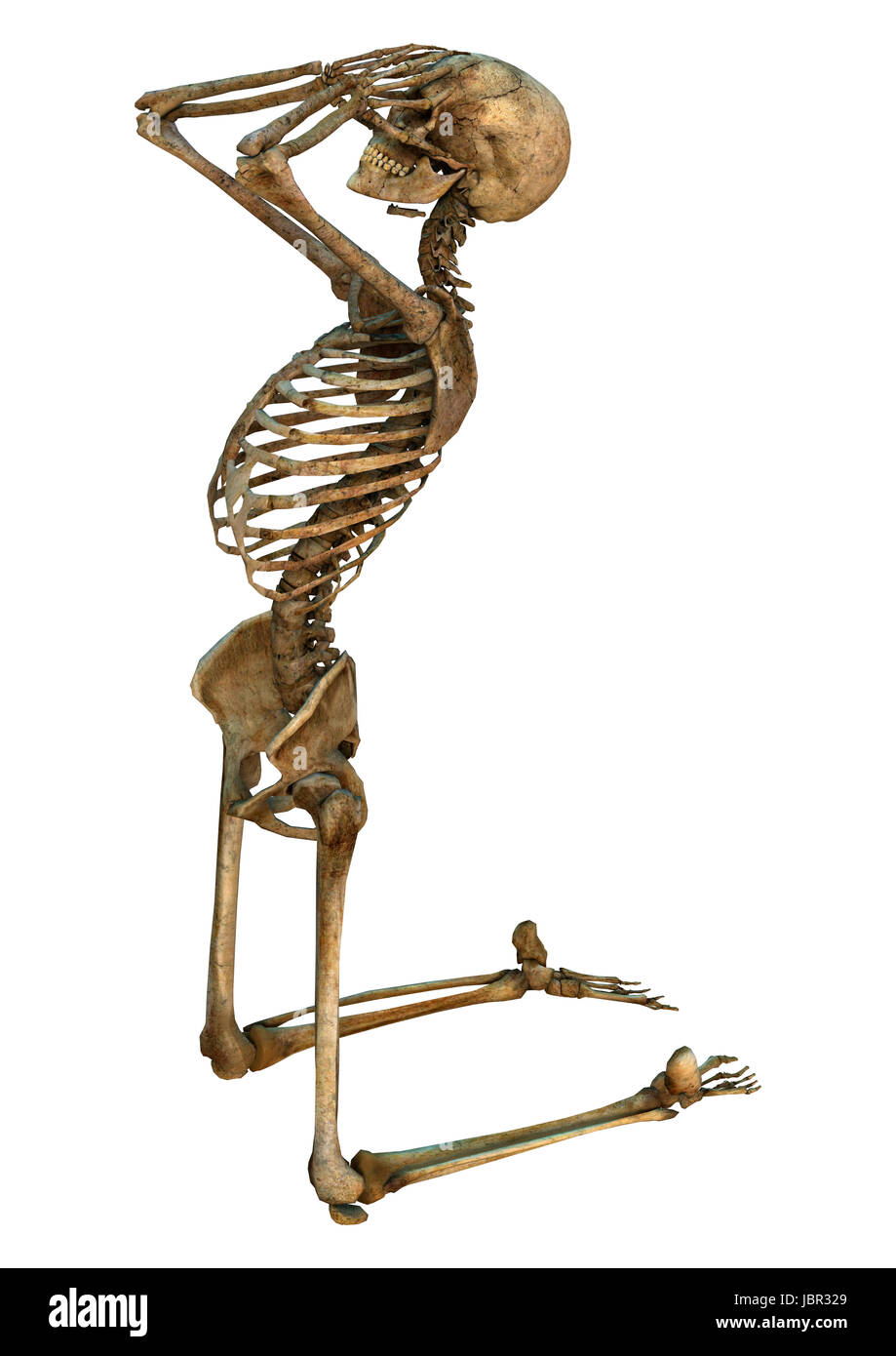 3D digital render of an old human skeleton isolated on white background ... 3D digital render of an old human skeleton isolated on white background ...
