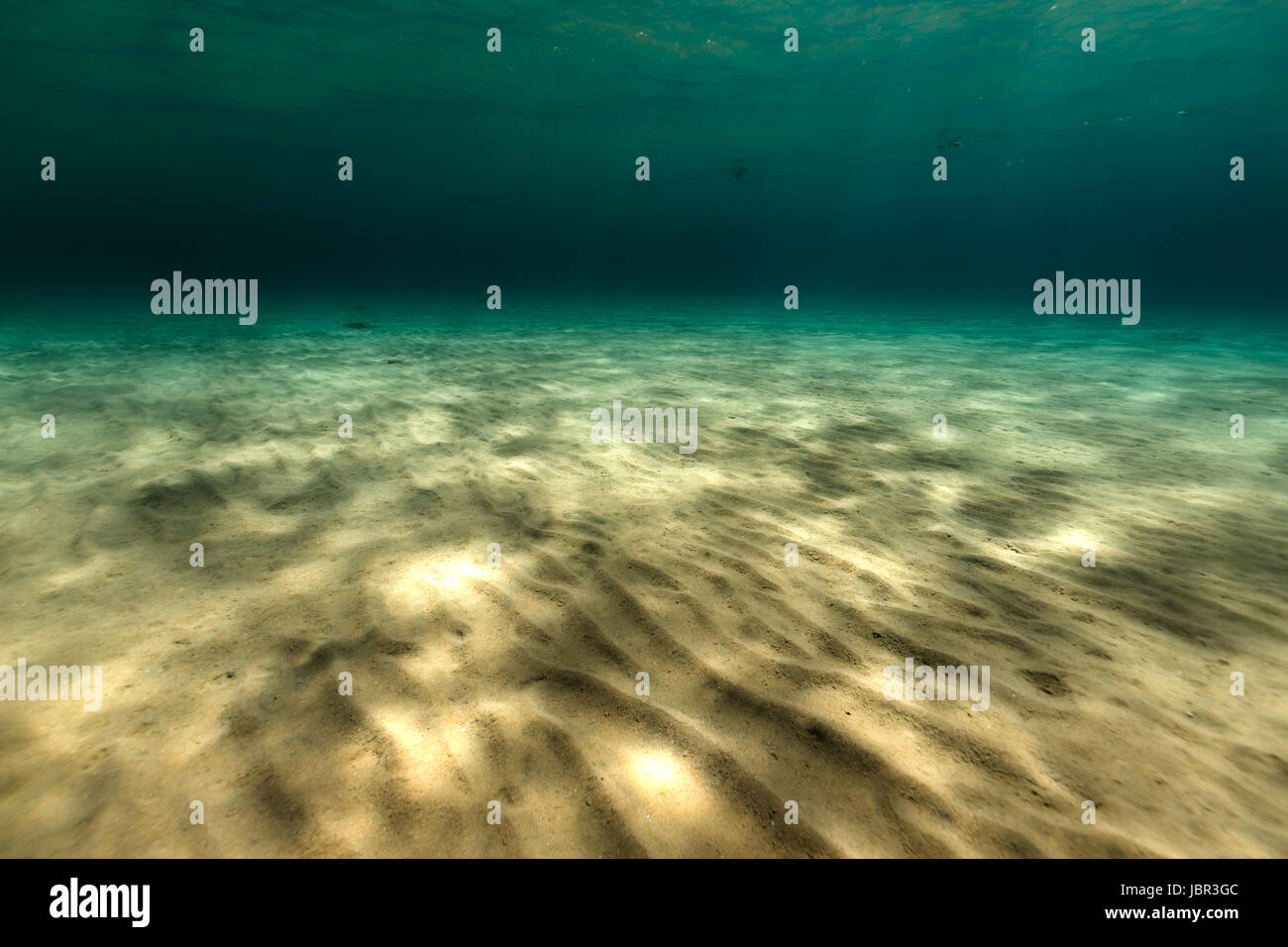 The magnificent underwater world of the Red Sea Stock Photo - Alamy