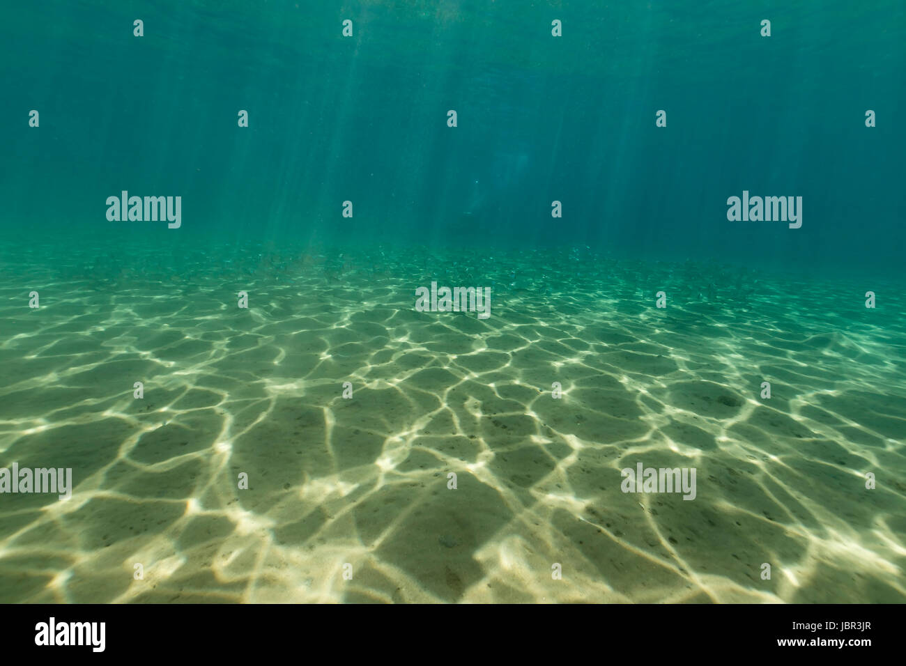 Underwater scenery of the Red Sea Stock Photo - Alamy