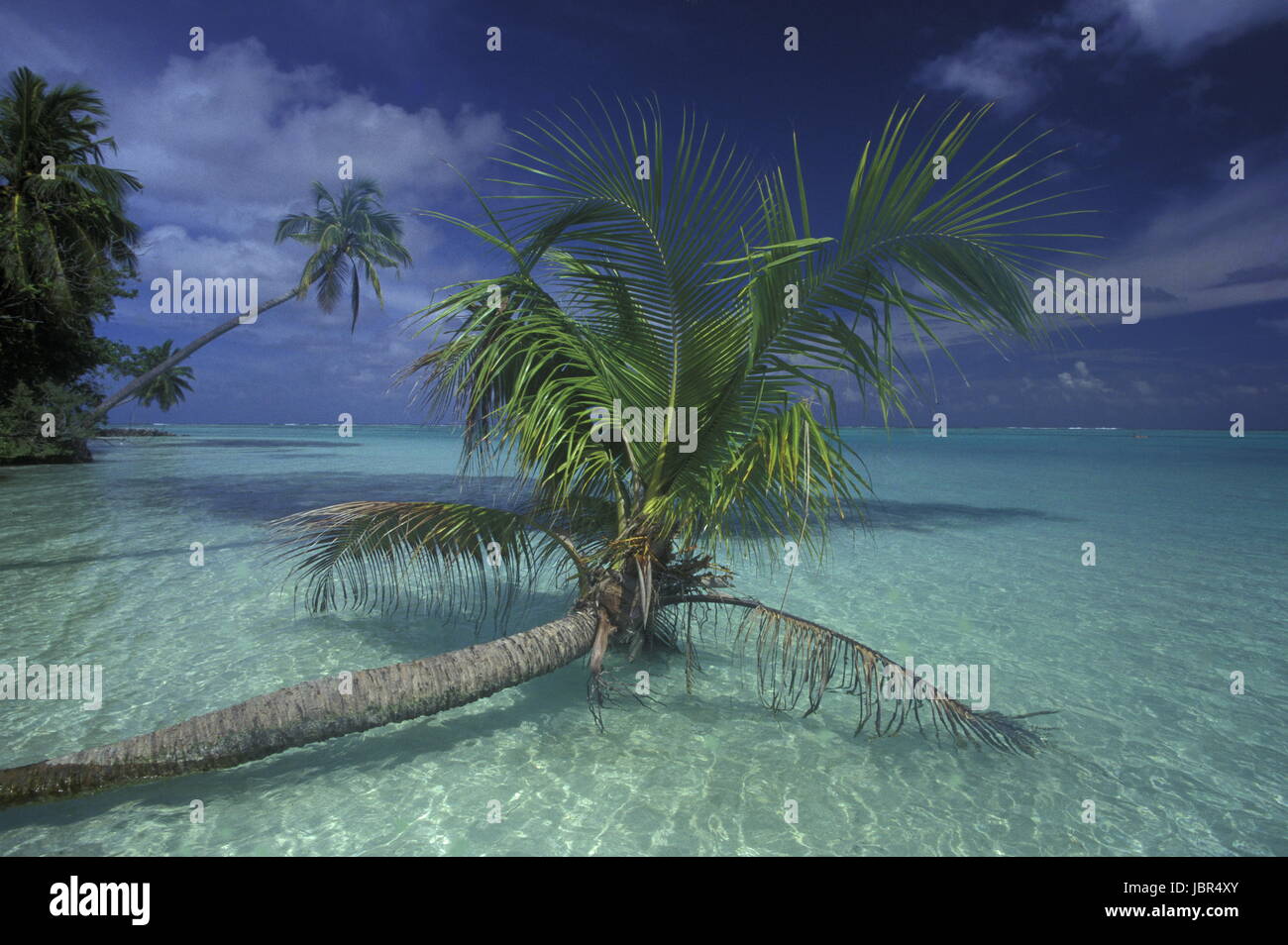Der Traumstrand mit Palmen und weissem Sand an der Insel Velavaru im ...