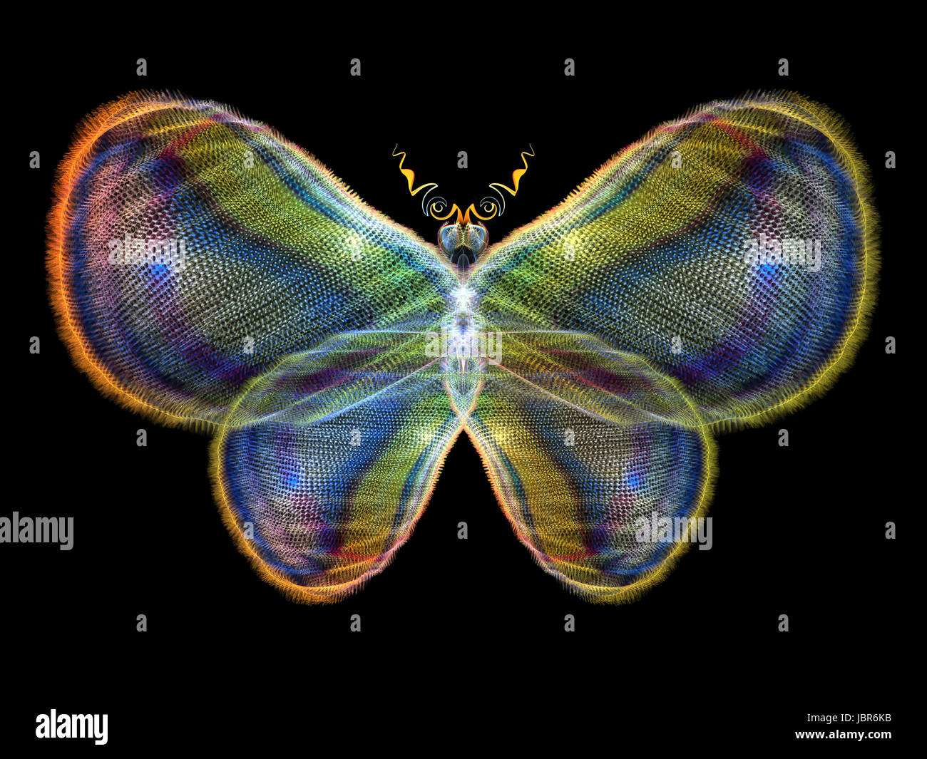 Never Were Butterflies series. Composition of isolated butterfly ...