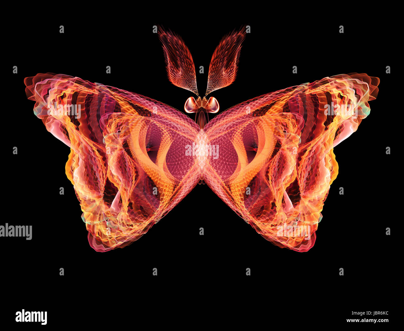 Never Were Butterflies series. Composition of isolated butterfly ...