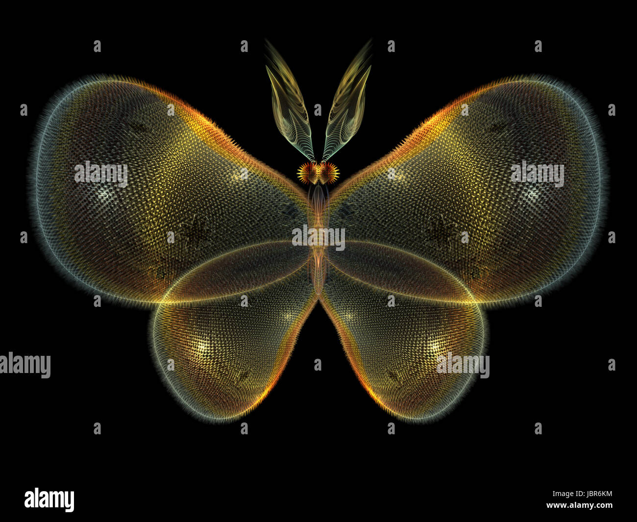 Never Were Butterflies series. Composition of isolated butterfly ...