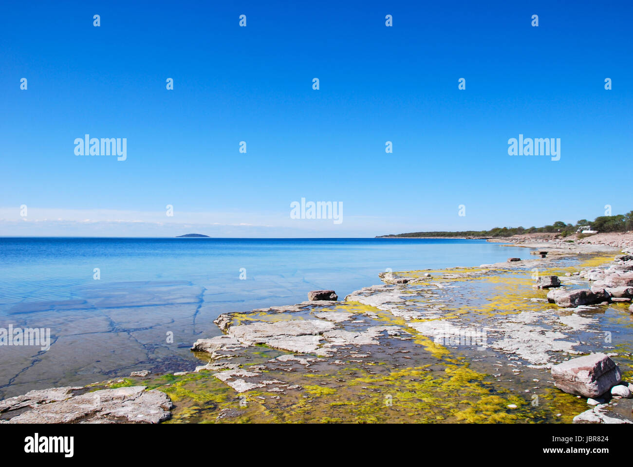 Flat rock coast with transparent water. From the swedish island oland ...