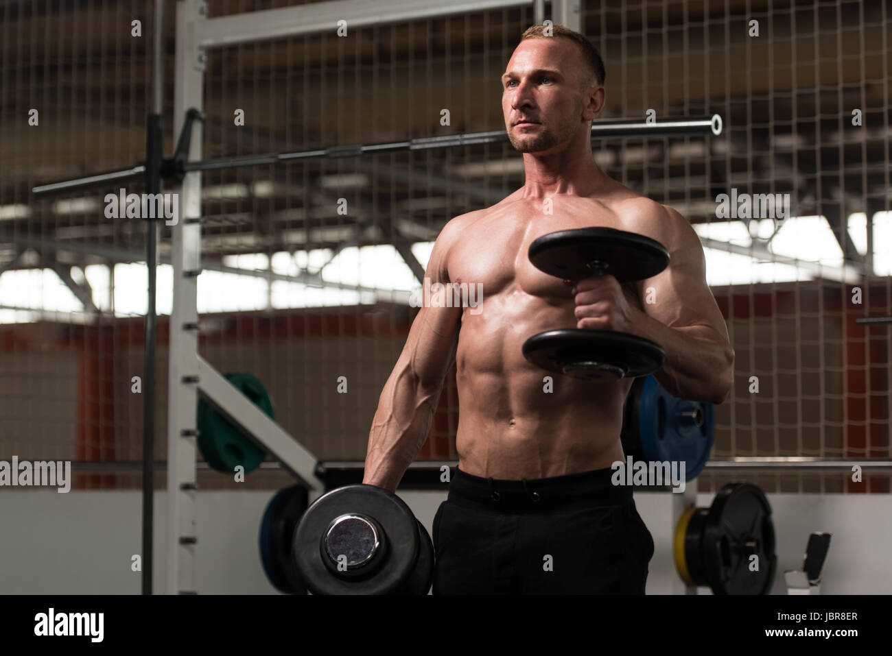 Man Working Out Biceps In A Gym - Dumbbell Concentration Curls Stock ...