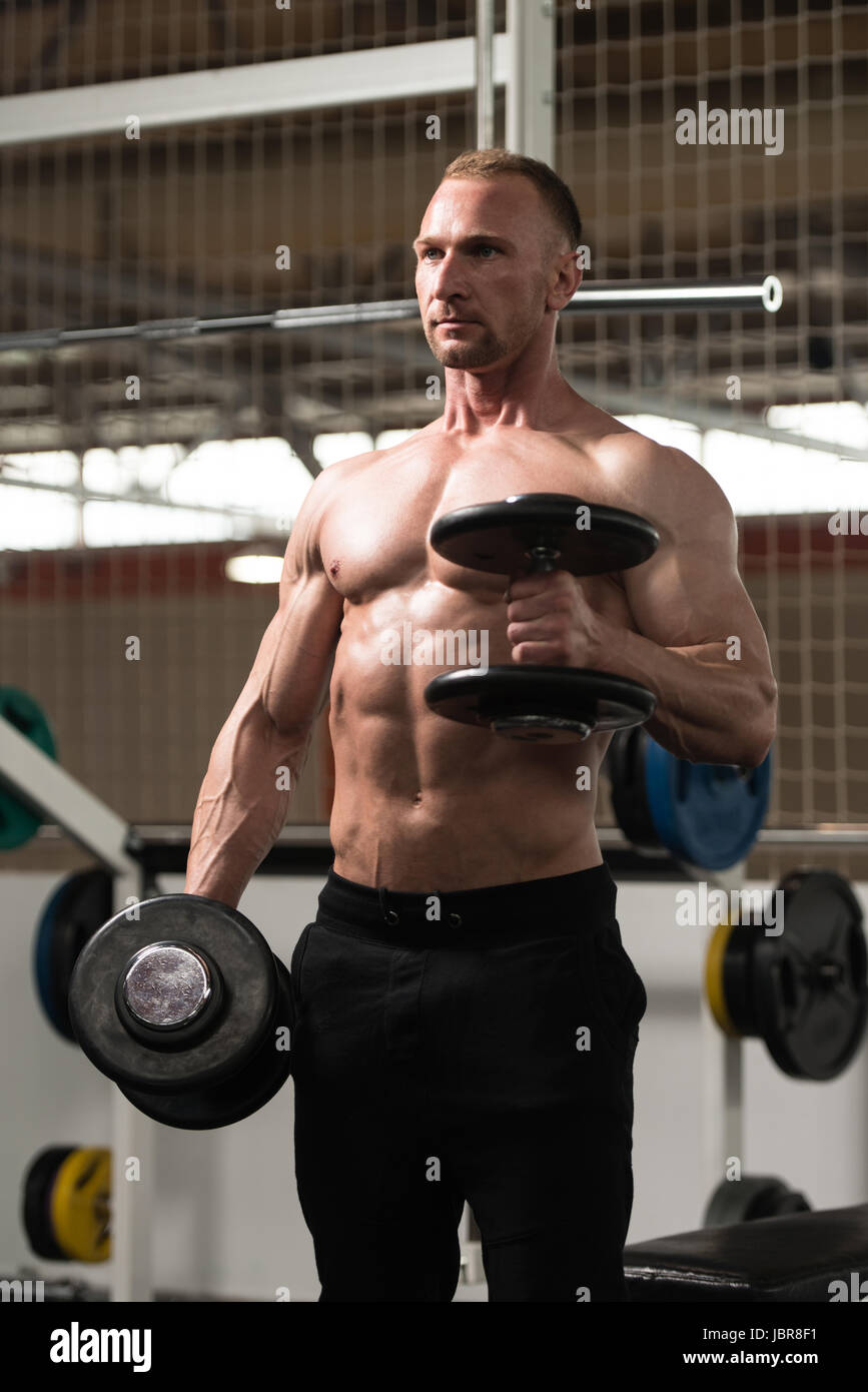 Man Working Out Biceps In A Gym - Dumbbell Concentration Curls Stock ...