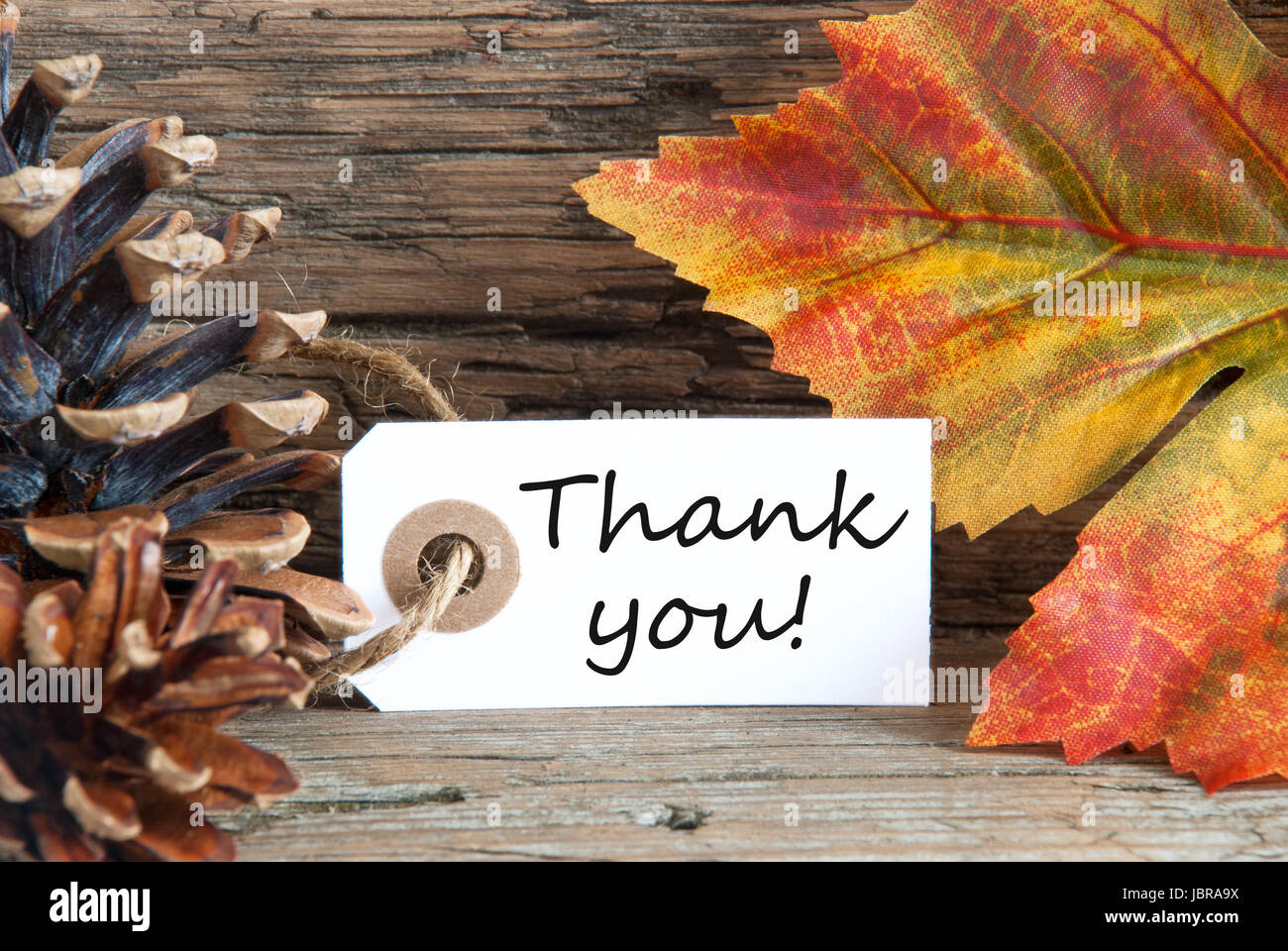 Fall Background with the Words Thank You on it Stock Photo - Alamy