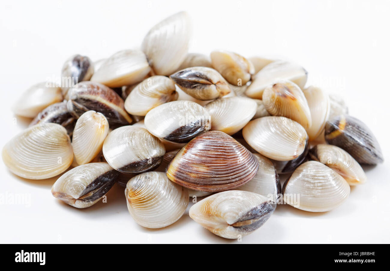 fresh clams on white background Stock Photo - Alamy
