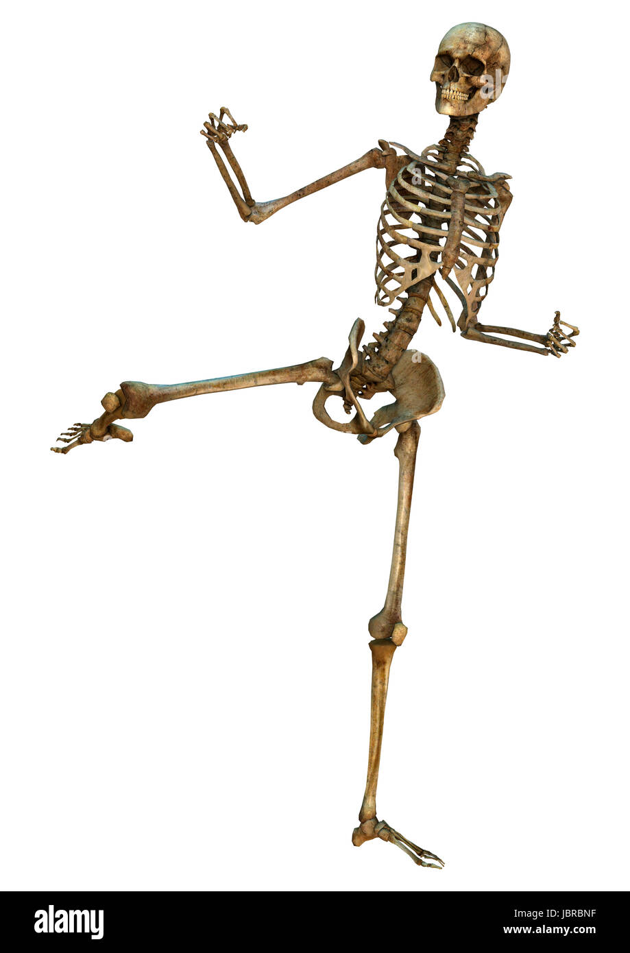 3D digital render of an old human skeleton isolated on white background ...