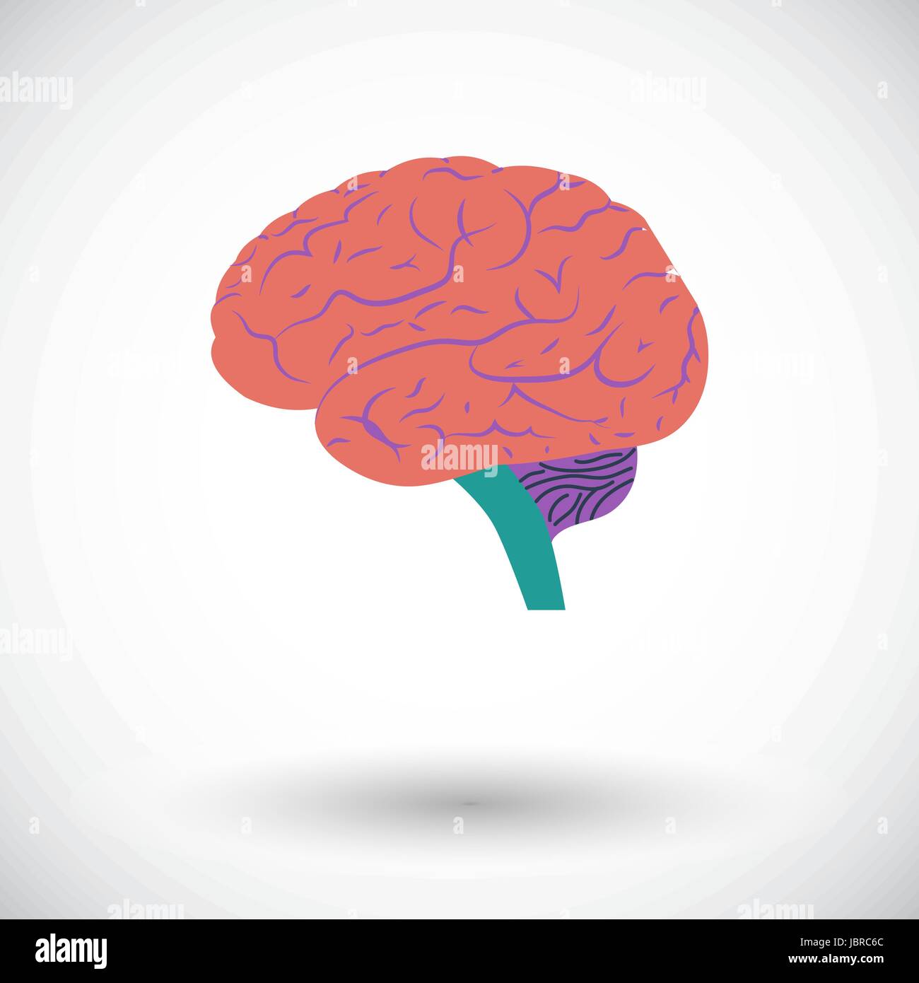 Human brain. Single flat icon on white background. Vector illustration ...