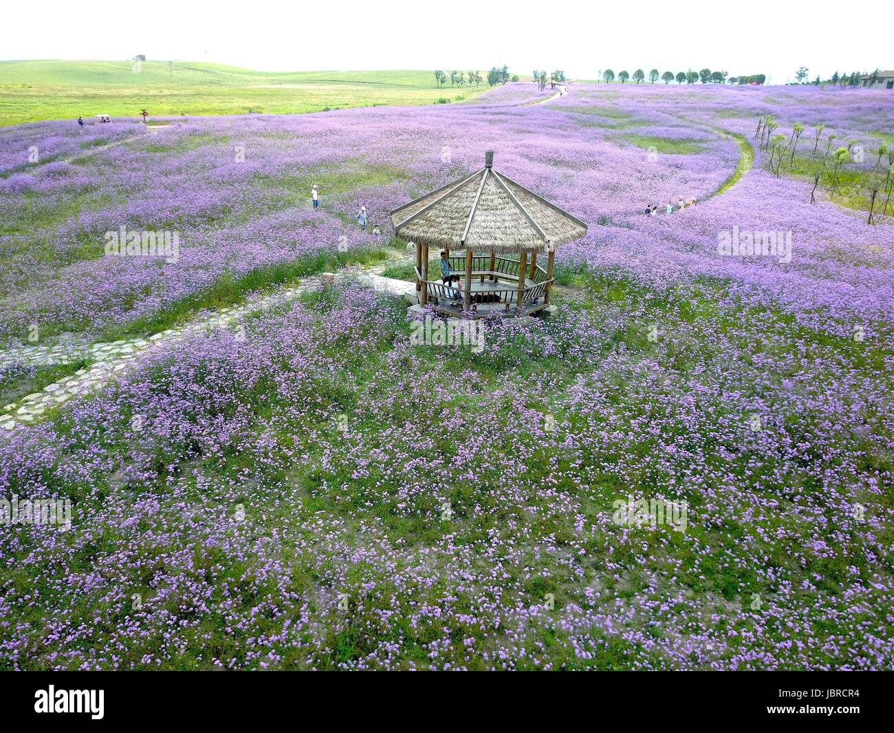 Xingren High Resolution Stock Photography and Images - Alamy