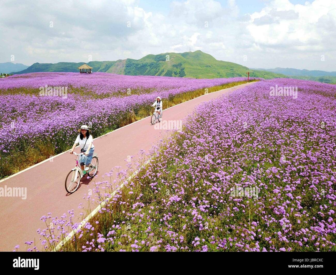 Xingren, Xingren, China. 11th June, 2017. Xingren, CHINA-June 11 2017: (EDITORIAL USE ONLY ...