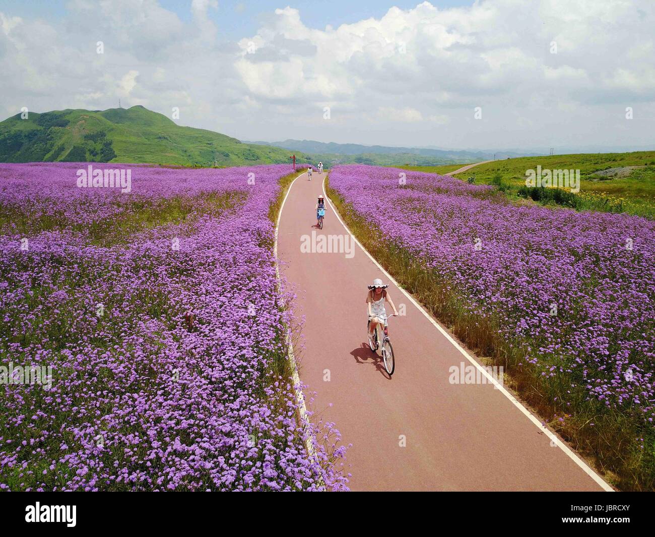 Xingren, Xingren, China. 11th June, 2017. Xingren, CHINA-June 11 2017: (EDITORIAL USE ONLY ...