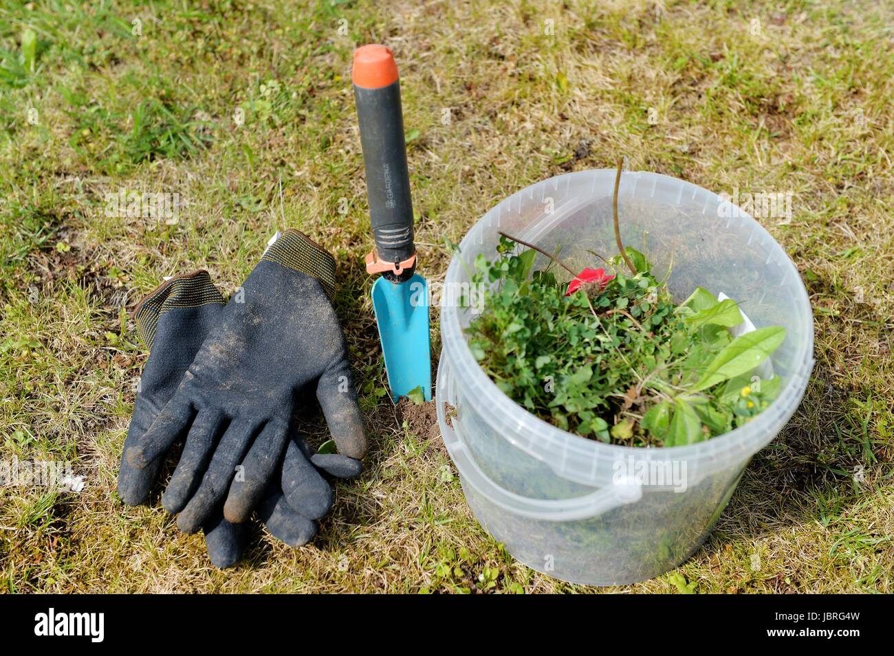 Weed bucket hi-res stock photography and images - Alamy