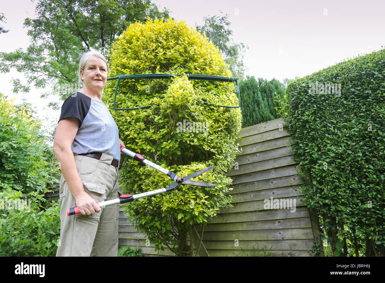 A woman gardener tends to her privet hedge topiary in the shape of a ...