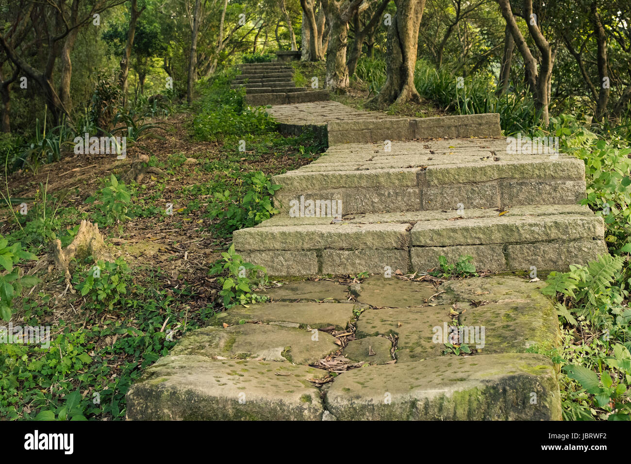 Outdoor trail in forest of park at Xiangshan, Taipei, Taiwan Stock ...