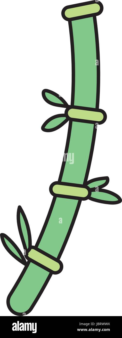 bamboo twig natural china ecology Stock Vector Image & Art - Alamy