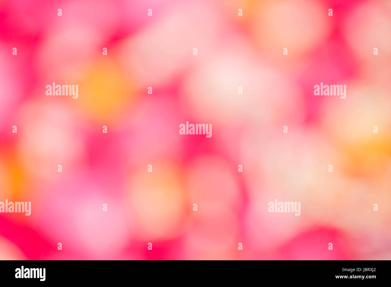 Pink glower hi-res stock photography and images - Alamy