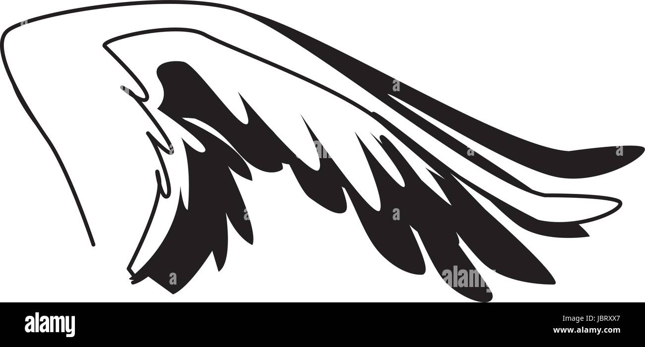 Spread feathers Stock Vector Images - Alamy