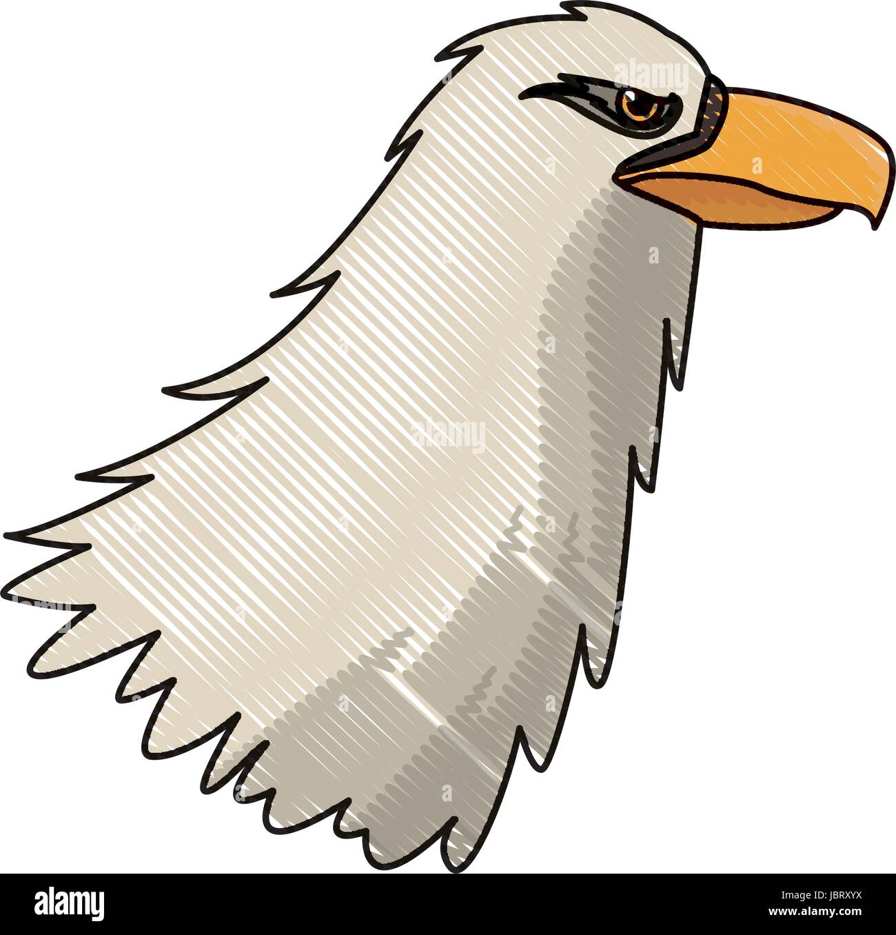 eagle head beak predator feather image Stock Vector Image & Art - Alamy