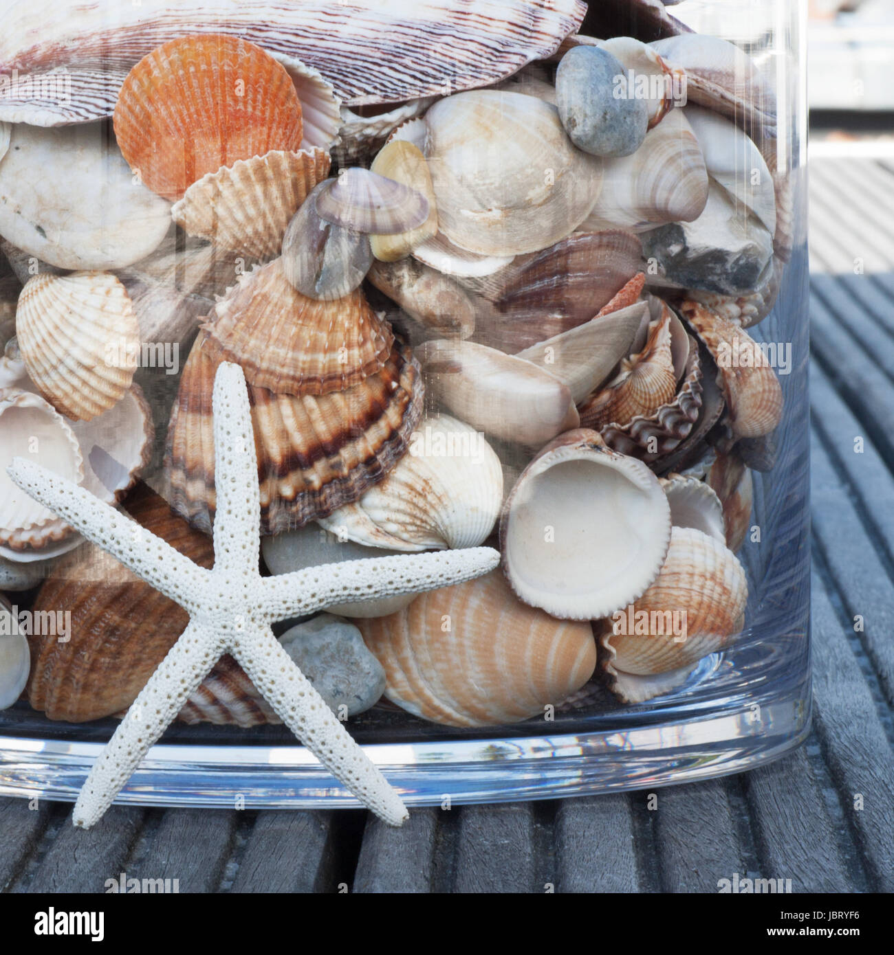 Different shells collected in glass Stock Photo - Alamy