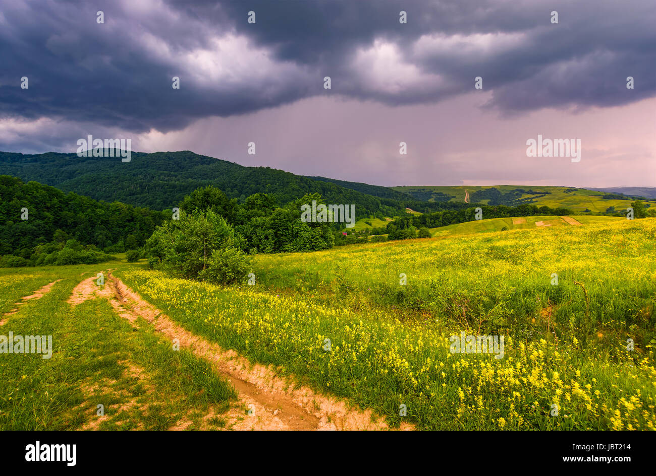 countryside summer landscape in mountains before the storm. country ...