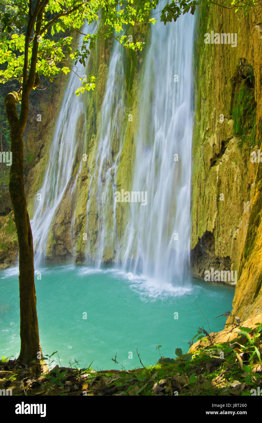 waterfall in deep green forest Stock Photo - Alamy